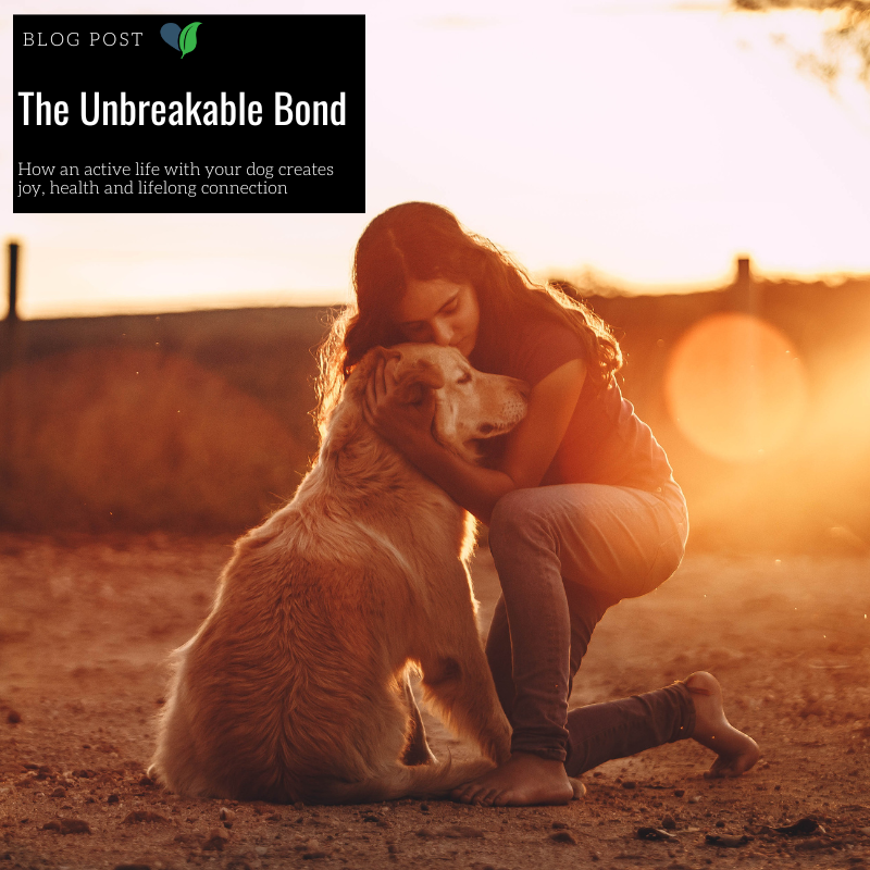 The Unbreakable Bond – dtchealthstore